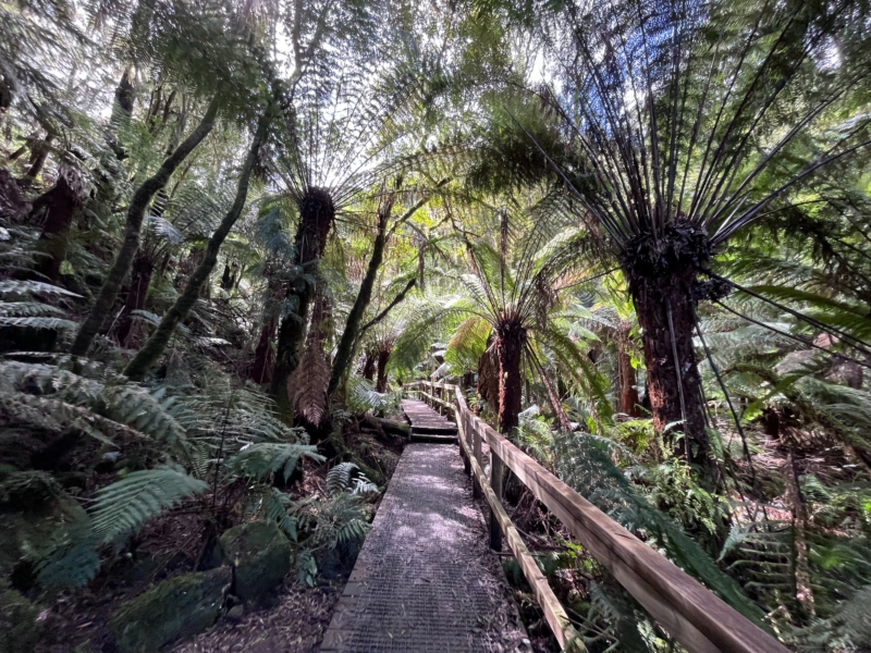 Hopetoun Falls - Walking Maps