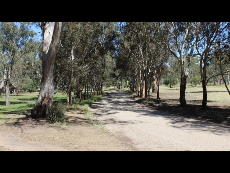 Dimboola 9 Creeks Walks - Weir Walk - Walking Maps