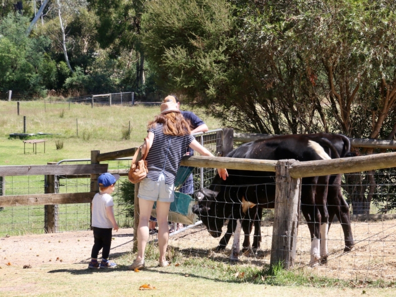 Edendale Farm Accessible Walk, Eltham - Walking Maps