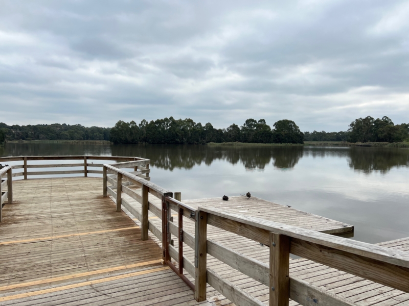 Lillydale Lake and Hull Rd Wetlands Trail, Lilydale. Step and Connect ...
