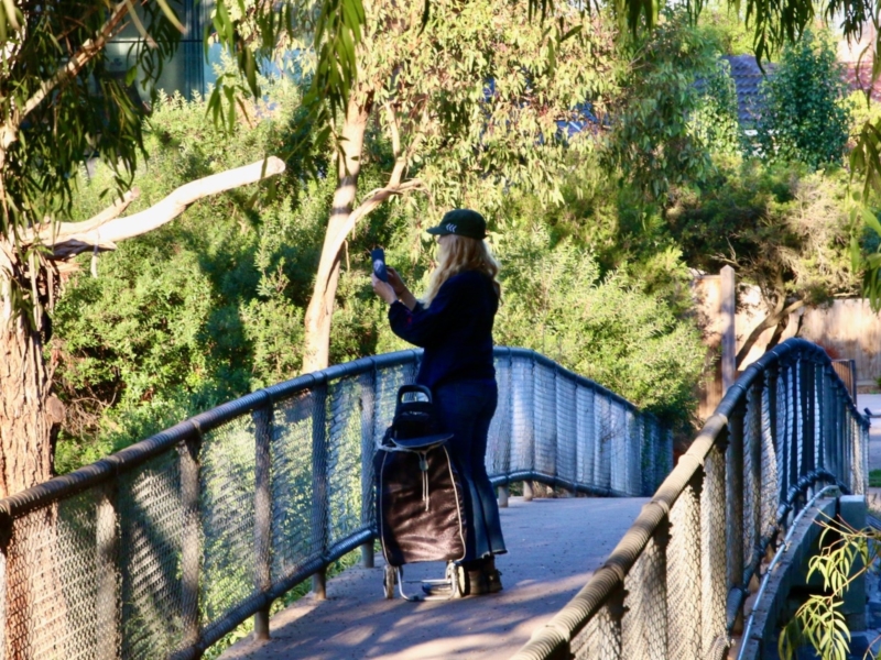 Cruickshank Park loop walk - Walking Maps