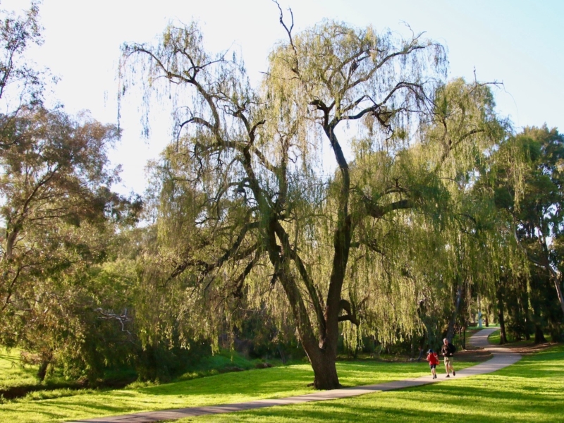 Cruickshank Park loop walk - Walking Maps
