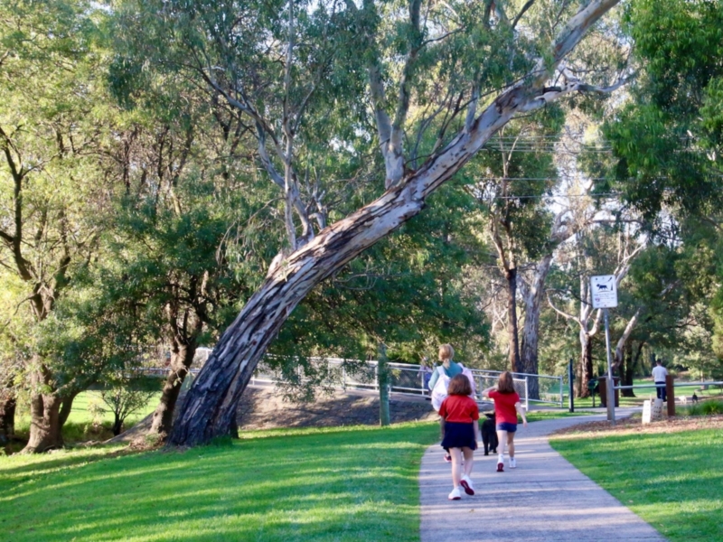 Cruickshank Park loop walk - Walking Maps