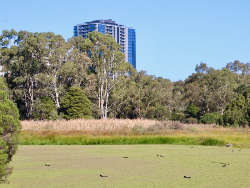 Newell's Paddock / Riverside Park loop walk - Walking Maps