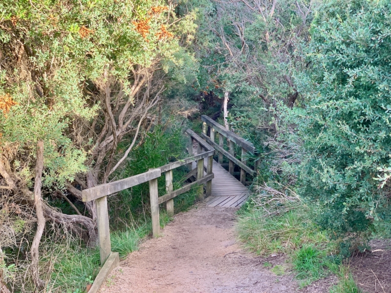 Kilcunda Beaches walk - Walking Maps