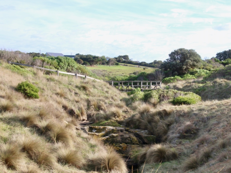 Kilcunda Beaches walk - Walking Maps