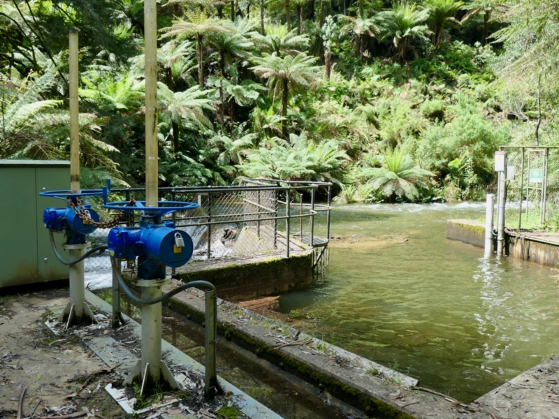 Coranderrk Weir loop walk - Walking Maps