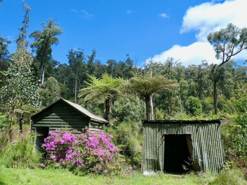 Coranderrk Weir loop walk - Walking Maps
