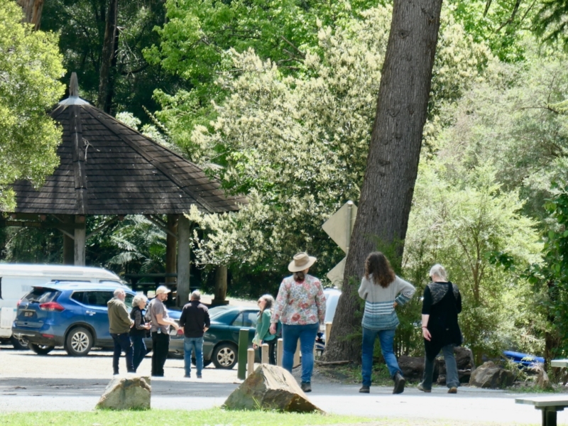 Coranderrk Weir loop walk - Walking Maps