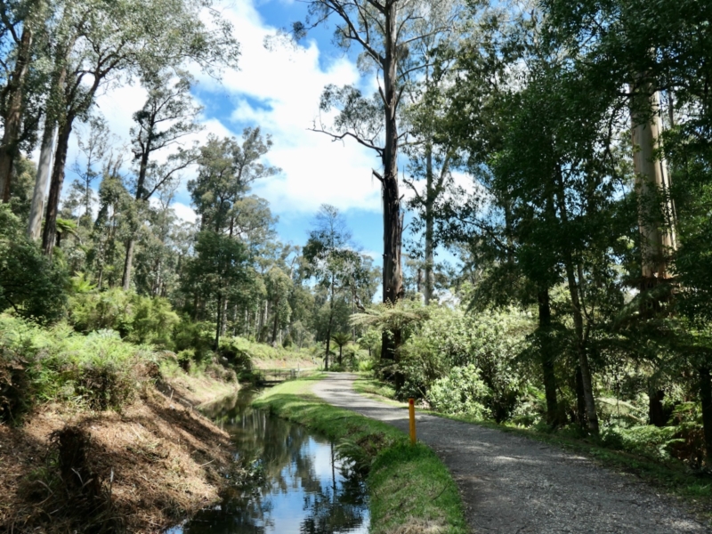 Coranderrk Weir loop walk - Walking Maps