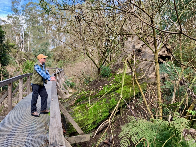 McKenzie River Rainforest walk - Walking Maps
