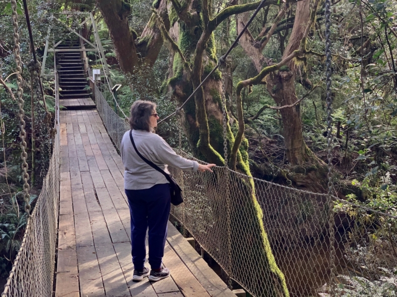 McKenzie River Rainforest walk - Walking Maps