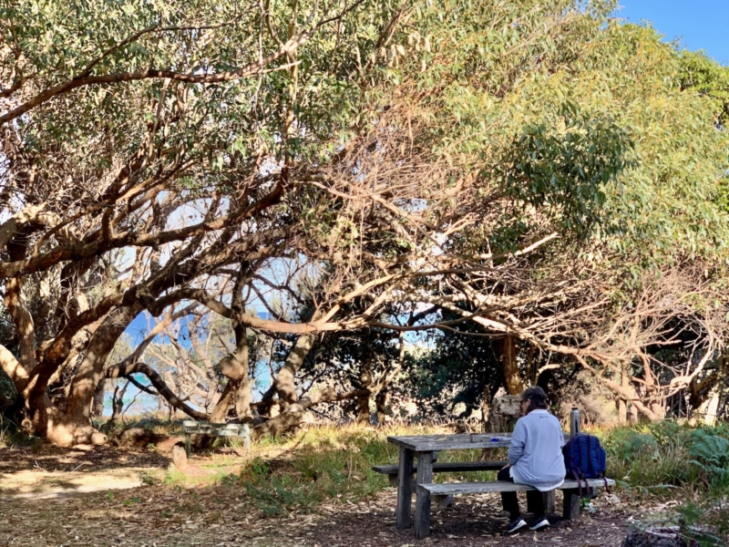 Middle Lagoon & Beach loop walk - Walking Maps