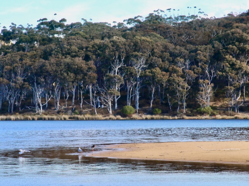 Middle Lagoon & Beach loop walk - Walking Maps
