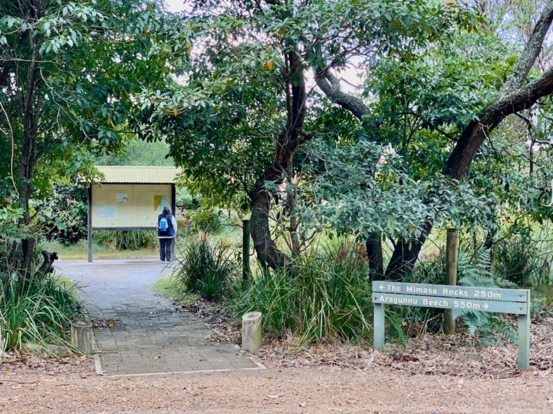 Mimosa Rocks / Aragunnu Beach walk - Walking Maps