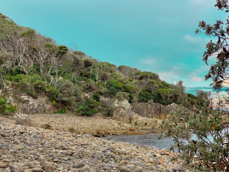 Mimosa Rocks / Aragunnu Beach walk - Walking Maps