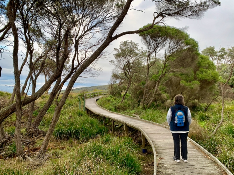 Mimosa Rocks / Aragunnu Beach walk - Walking Maps