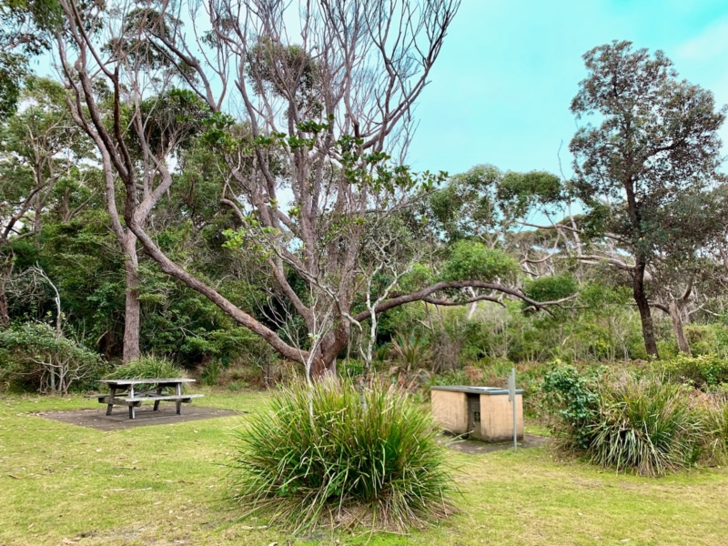 Mimosa Rocks / Aragunnu Beach walk - Walking Maps