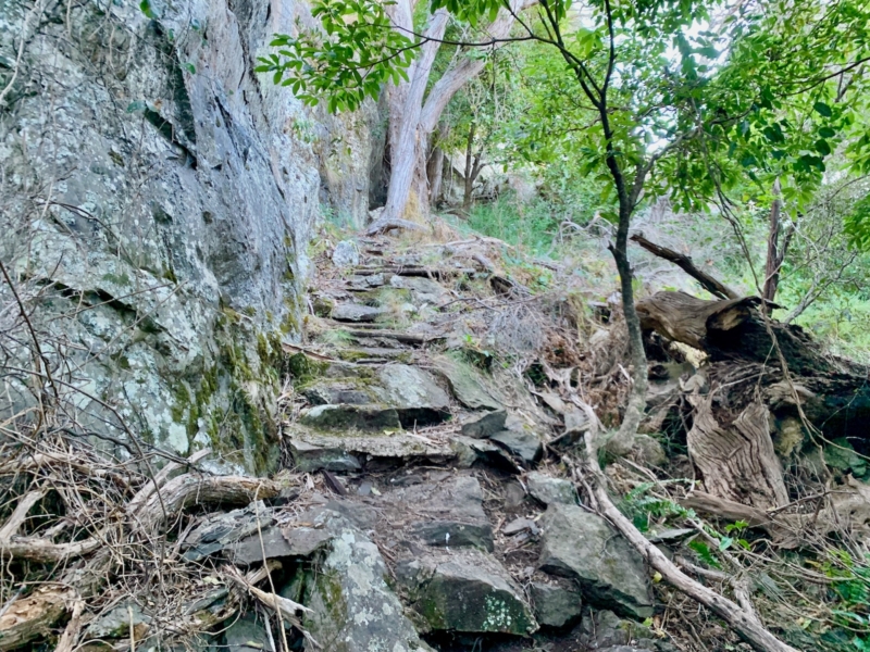 Sandy Creek / Bournda Lagoon loop walk - Walking Maps