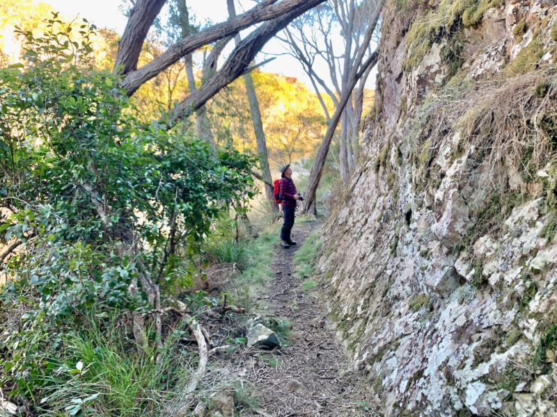 Sandy Creek / Bournda Lagoon loop walk - Walking Maps
