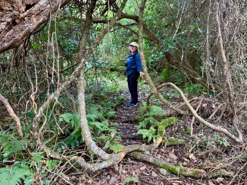 Sandy Creek / Bournda Lagoon loop walk - Walking Maps
