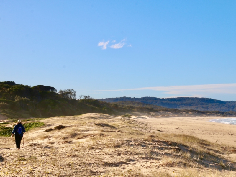 Sandy Creek / Bournda Lagoon loop walk - Walking Maps