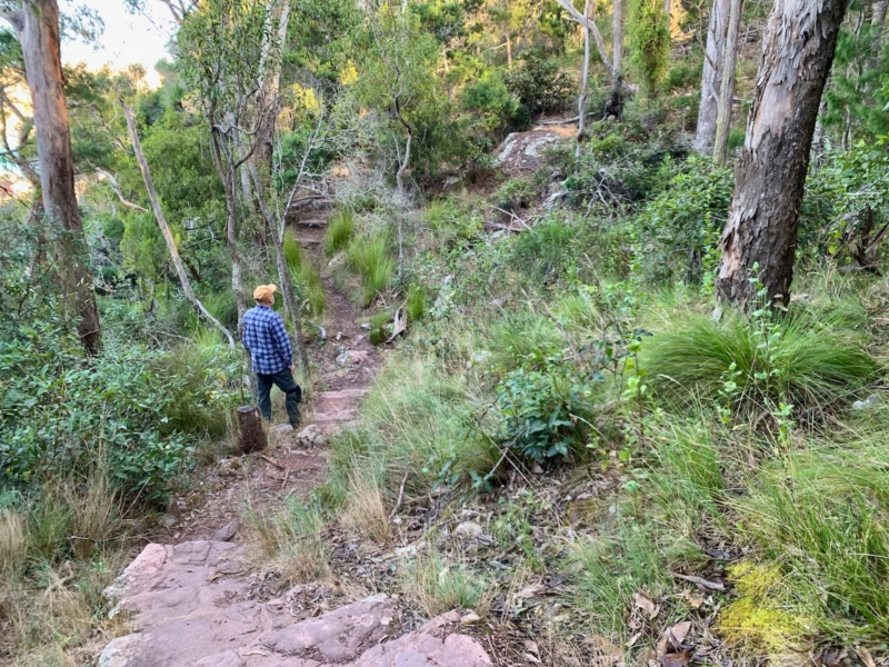Pambula River Mouth walk - Walking Maps