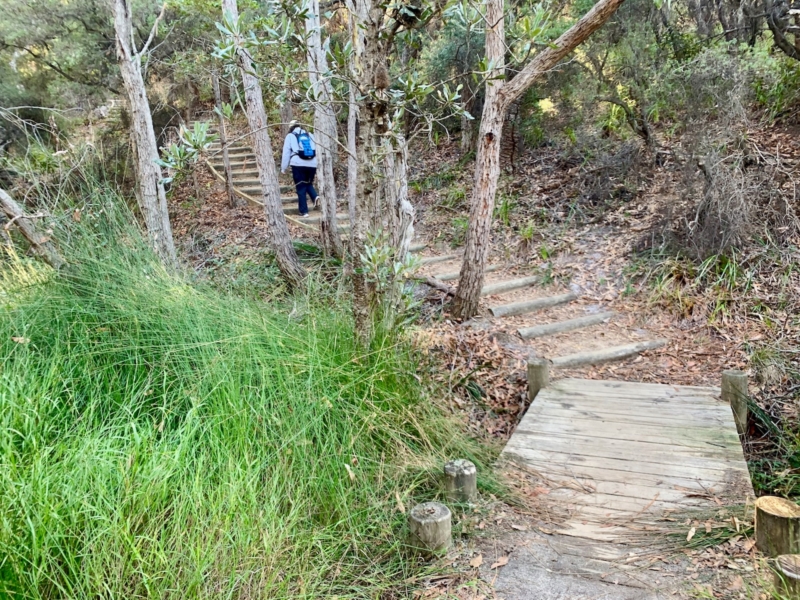 Pinnacles loop walk - Walking Maps