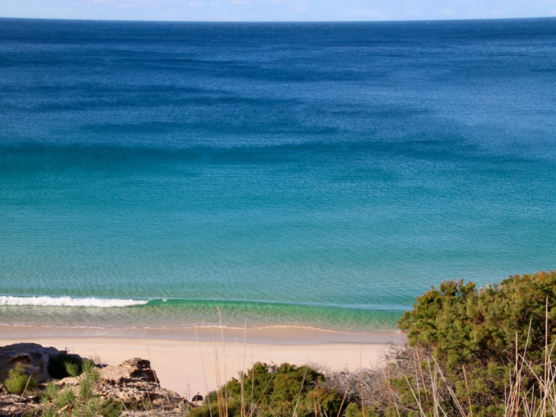 Pinnacles loop walk - Walking Maps