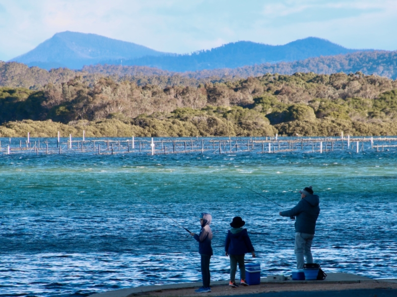 Merimbula Boardwalk - Walking Maps