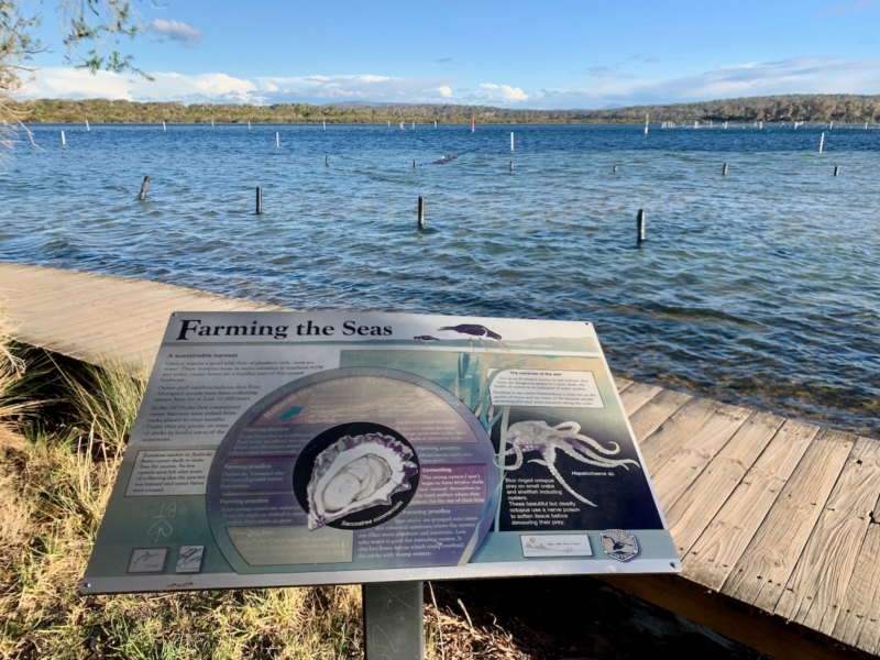 Merimbula Boardwalk - Walking Maps