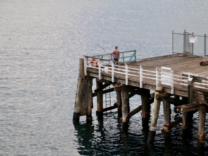 Tathra Headland loop walk - Walking Maps