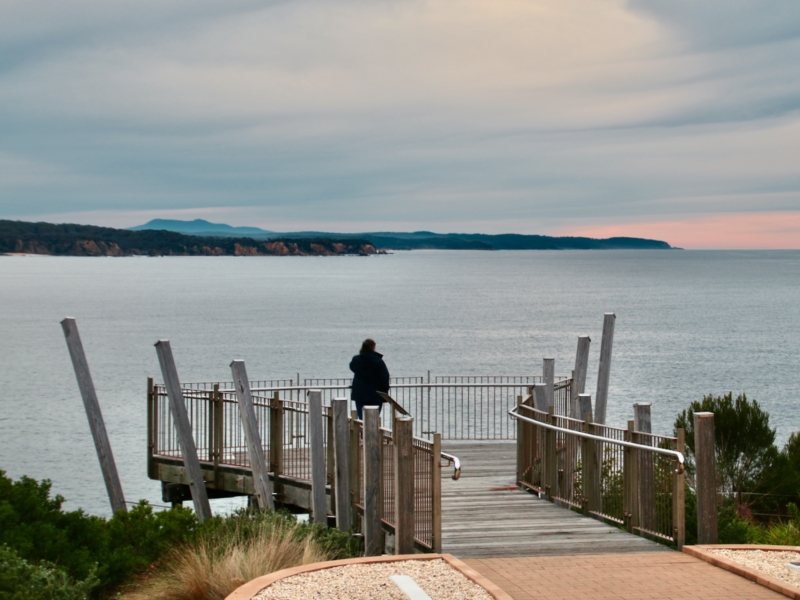 Tathra Headland loop walk - Walking Maps