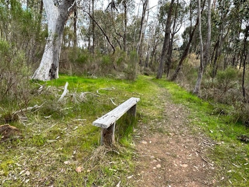 Seymour Bushland Park - Long and Short Loops - Walking Maps