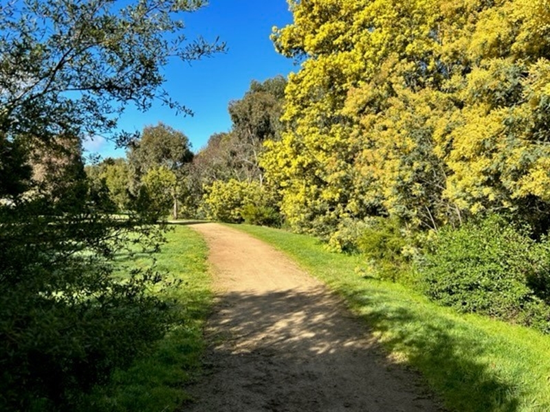 Taylor's Creek Walking Track - Wallan - Walking Maps