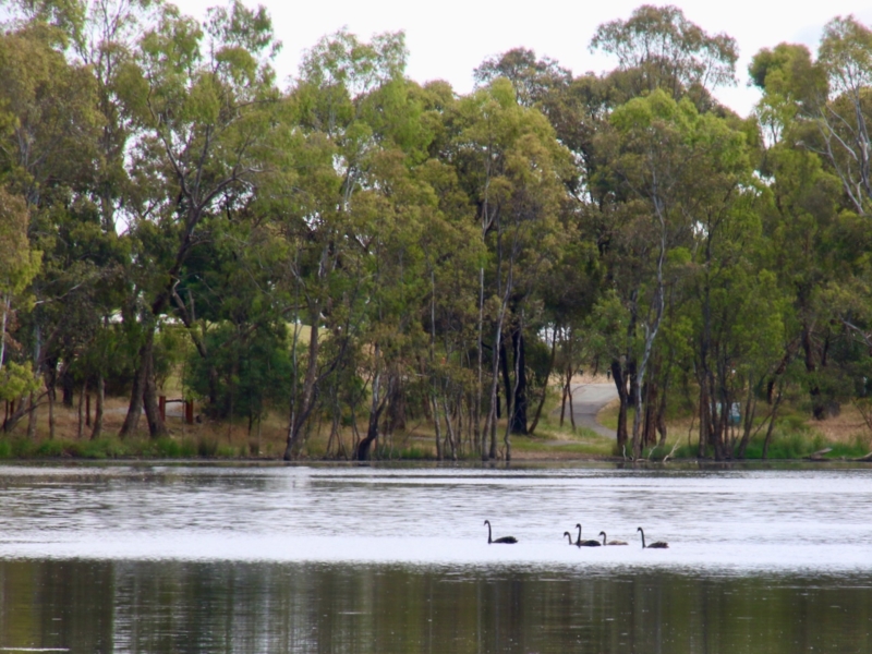 Kennington Waterside walk - Walking Maps