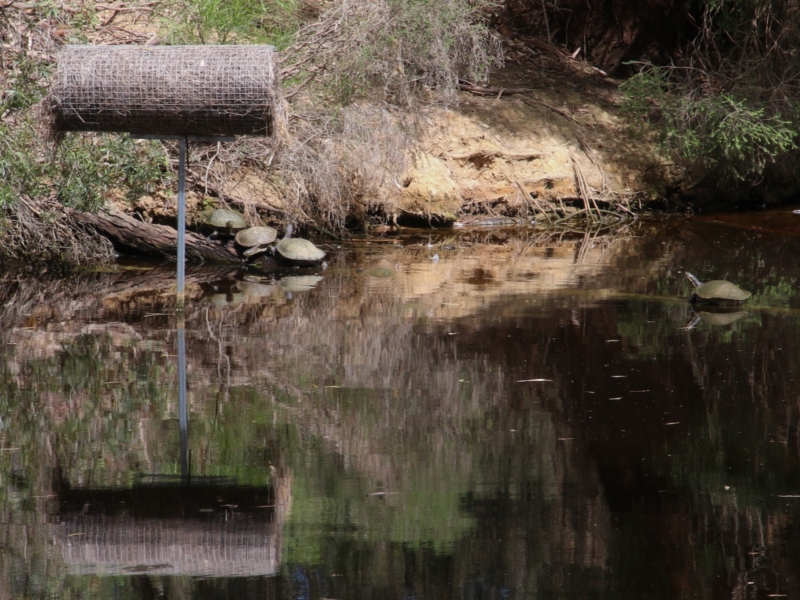 Kennington Waterside walk - Walking Maps
