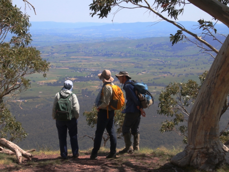 Timbertop Saddle to Mt Timbertop summit walk - Walking Maps