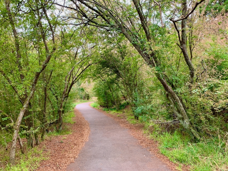 Ruffey Creek walk - Walking Maps