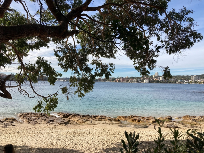 Spit to Manly walk - Walking Maps