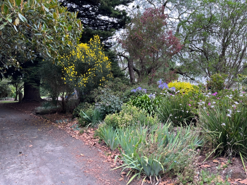 Koroit Botanic Gardens - Walking Maps