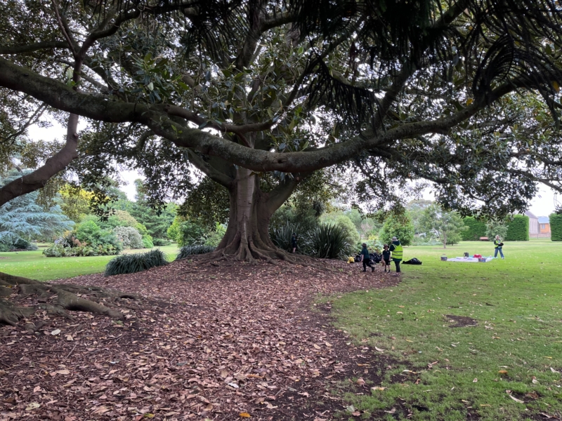 Koroit Botanic Gardens - Walking Maps
