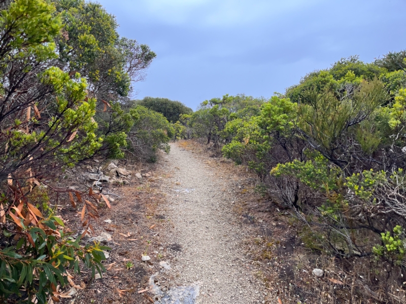 Sea Cliff Nature Walk - Walking Maps