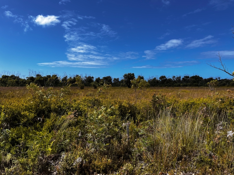 Heathland Walk, Cape Conran - Walking Maps
