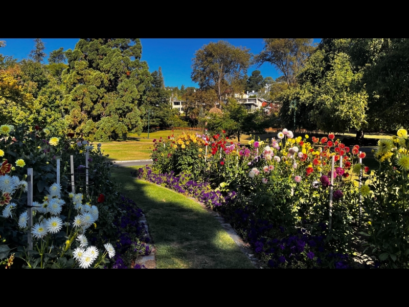 City Park, Launceston Tasmania - Walking Maps
