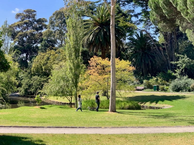 Central Park and Hedgeley Dene Gardens Walk - Walking Maps