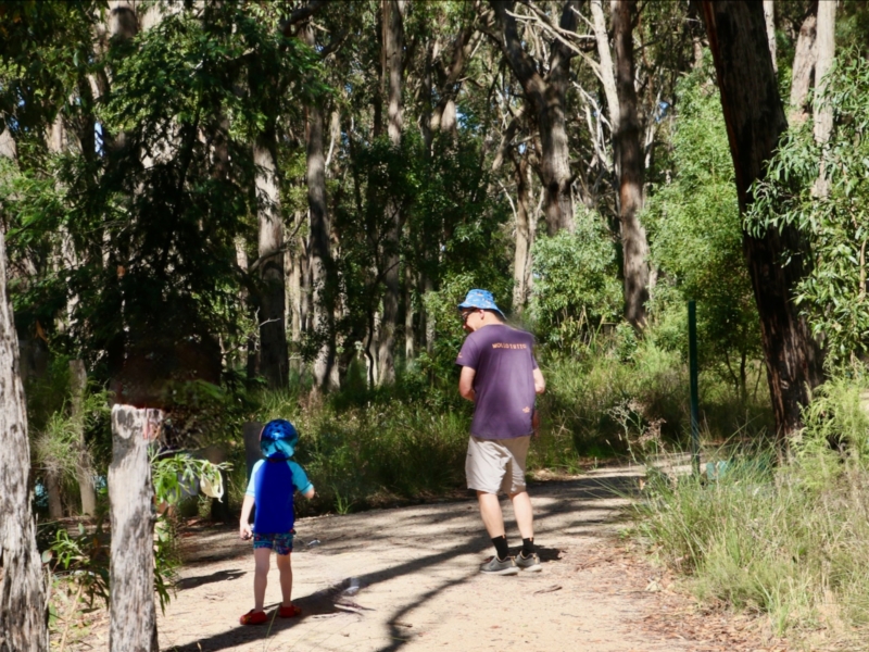 Woowookarung Dementia Friendly Forest & Sensory Accessible Walk ...