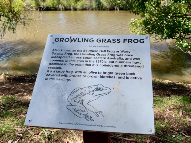 Lake Victoria Walk, Maryborough - Walking Maps