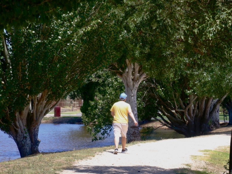 Lake Victoria Walk, Maryborough - Walking Maps