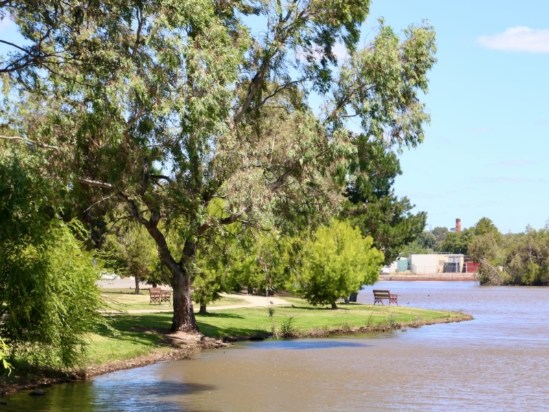 Lake Victoria Walk, Maryborough - Walking Maps